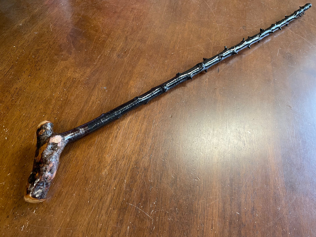 Blackthorn Walking Sticks – Page 20 – McCaffrey Crafts Ltd